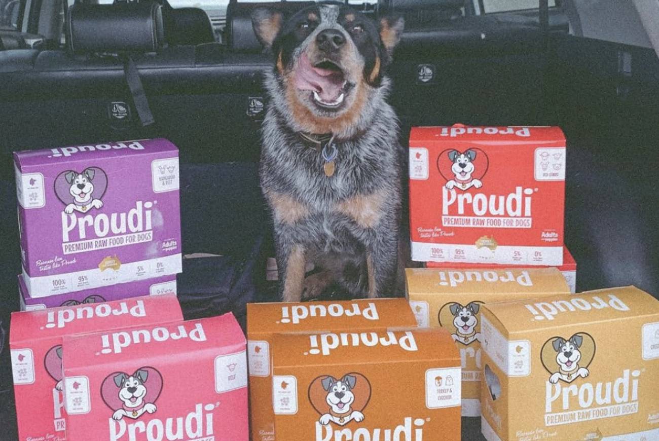 Proudi New Look |Sustainable Packaging: An Update