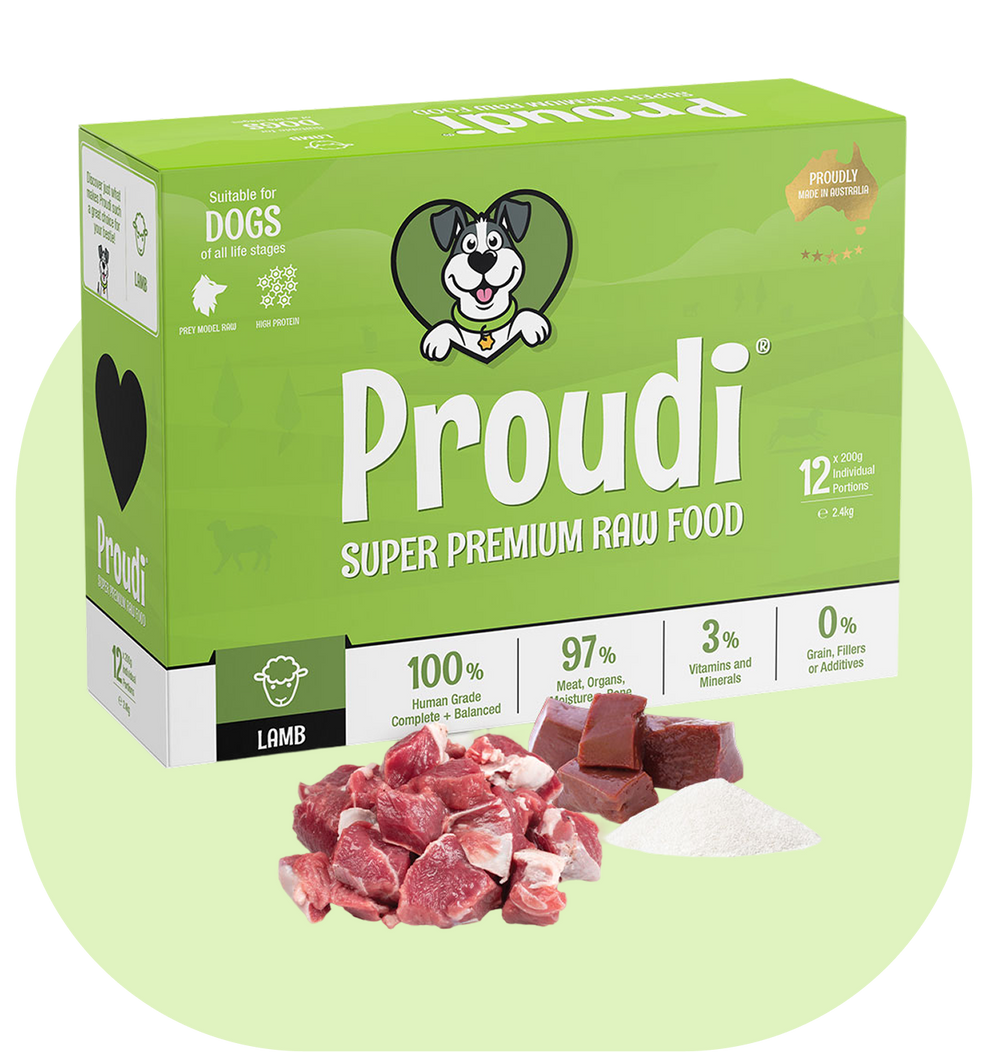 Buy Single Protein Lamb Raw Patties for Dogs | Proudi