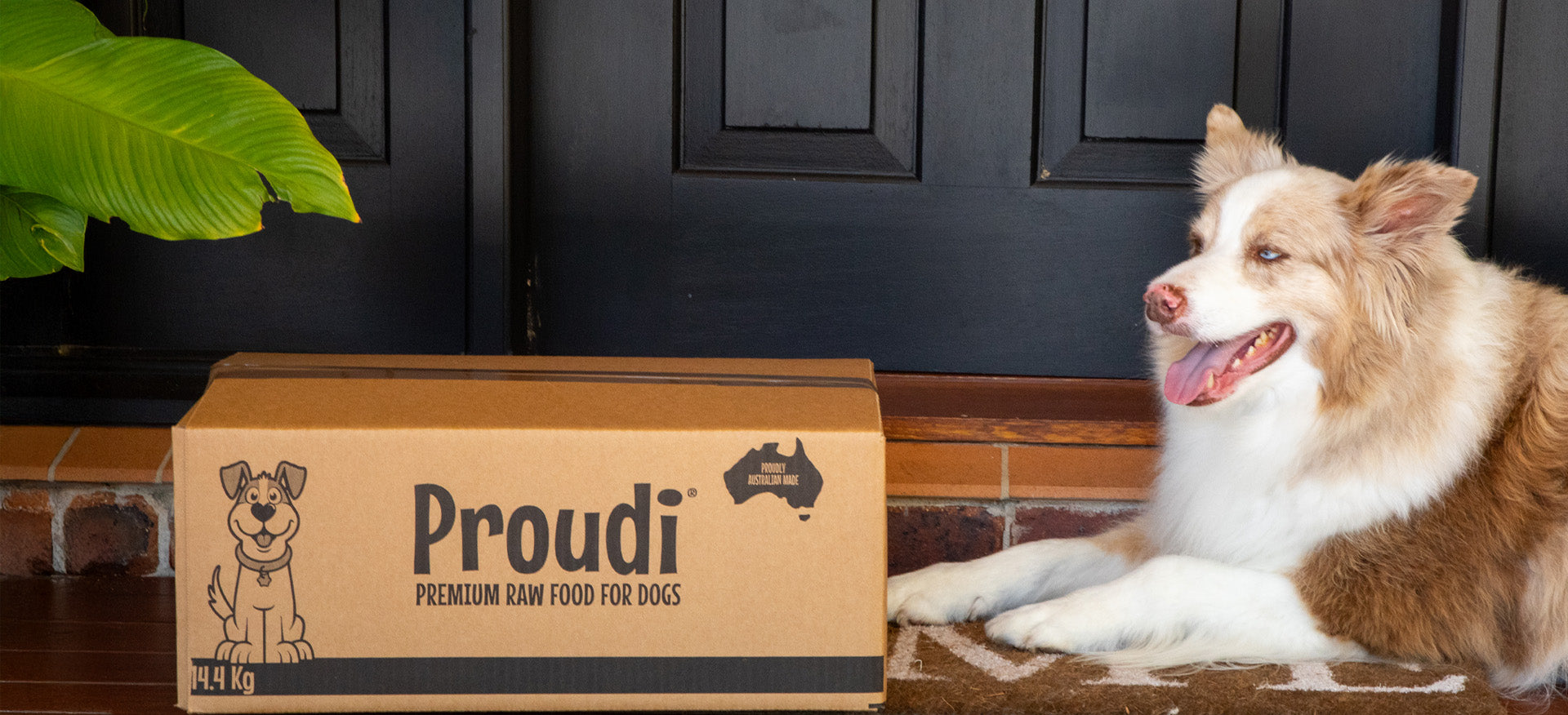 Proudi Delivery Information | Raw Pet Food Delivery Schedule